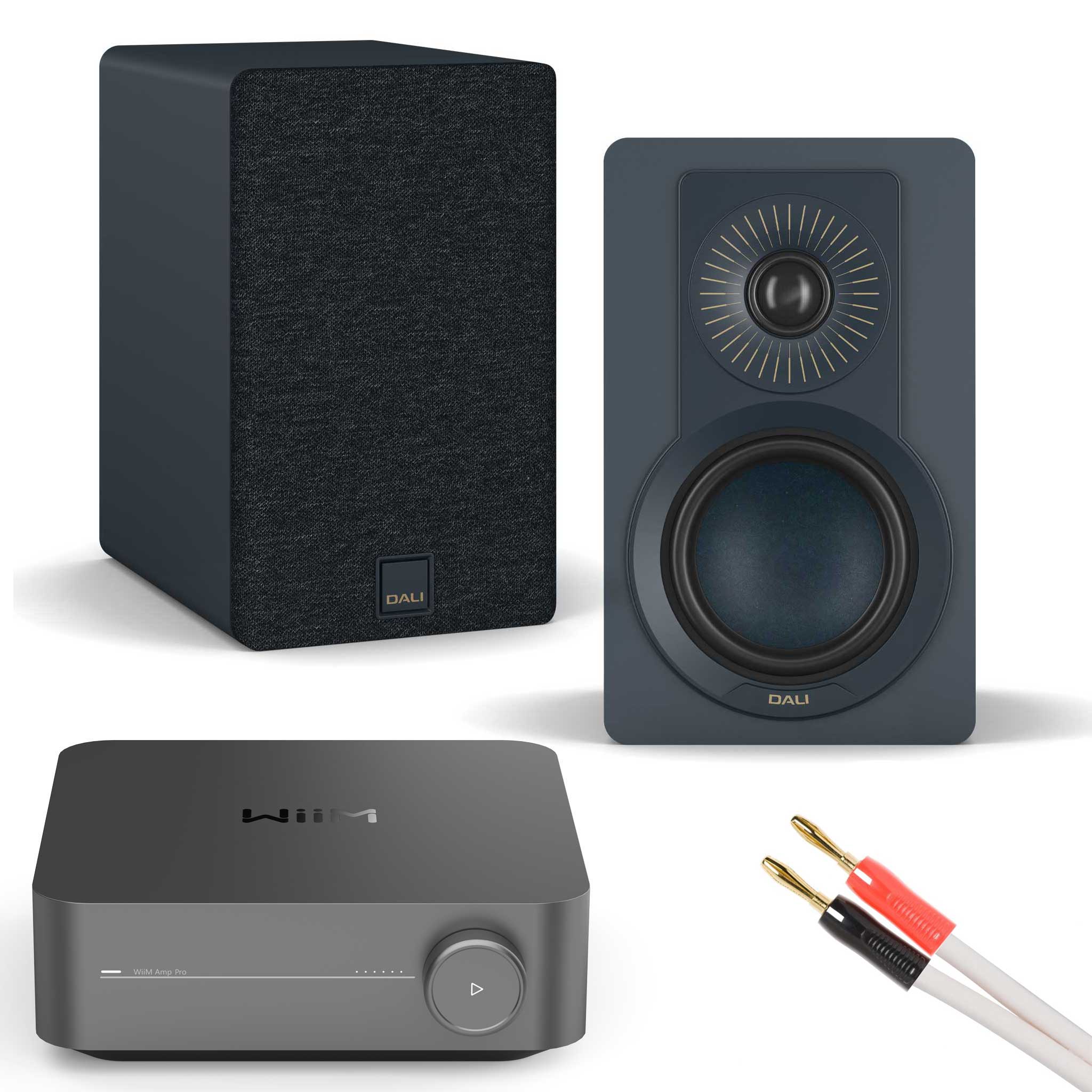 WiiM Amp Pro with Dali Kupid Speakers | Weybridge Audio